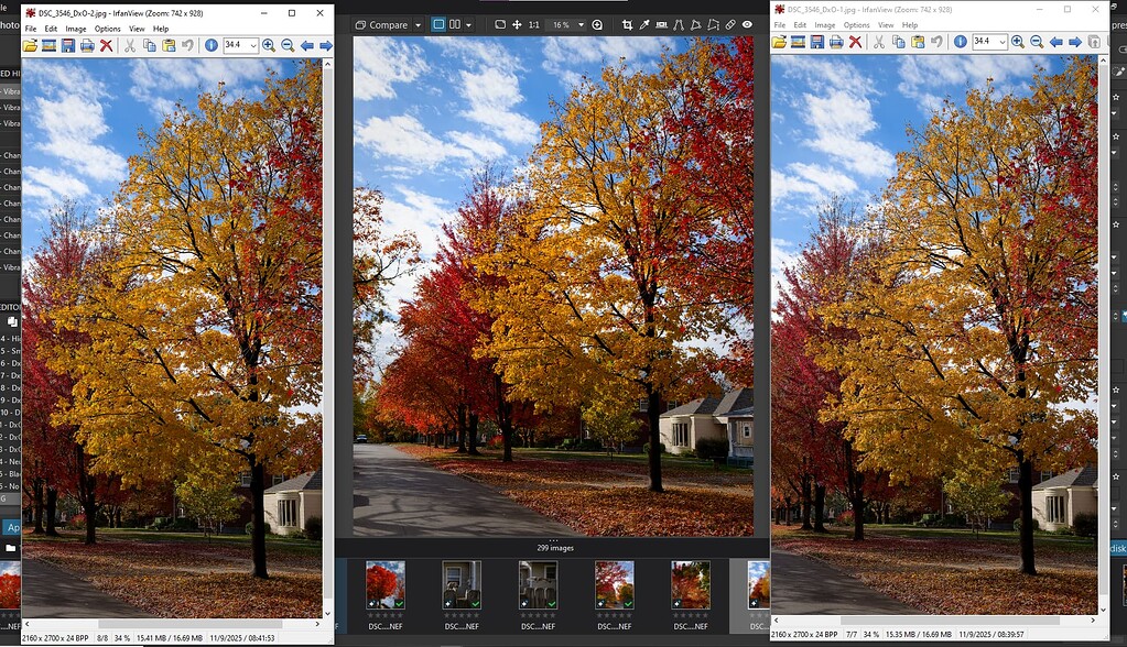 Lack of color depth on one image - DxO PhotoLab - DxO Forum