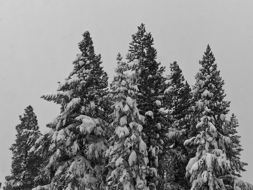 When sun will not come out for sunrise, make it black and white - Share ...