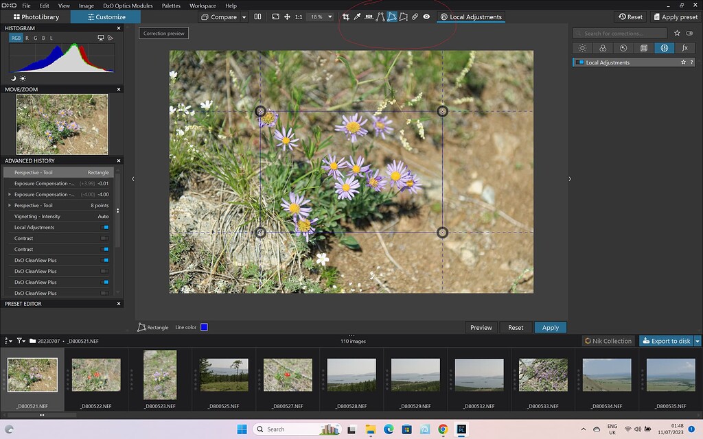 What are these lines in DXO Photo Lab 6? - DxO PhotoLab - DxO Forum