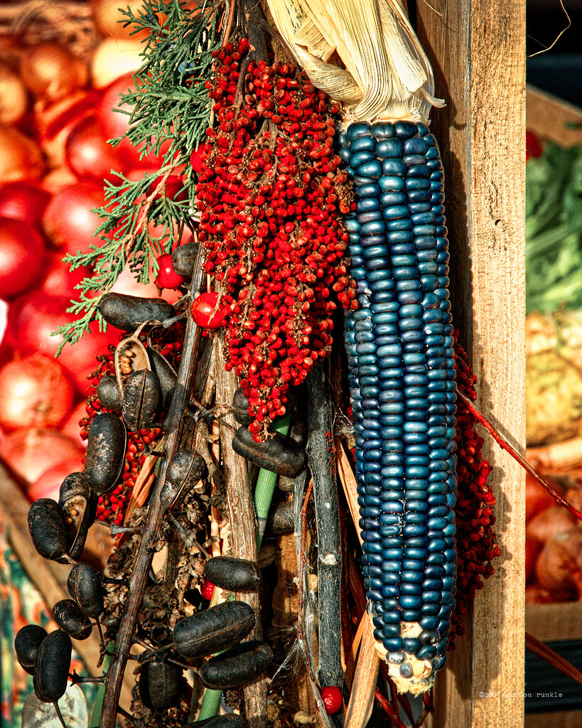 A Splash of Color - Share your images & Chat - DxO Forum