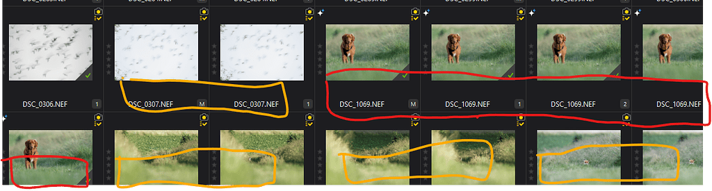 Big mess in Database with new Version and old Version installed - DxO ...