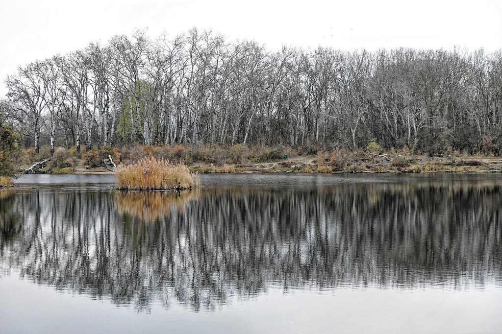 Fall is approaching - Share your images & Chat - DxO Forum