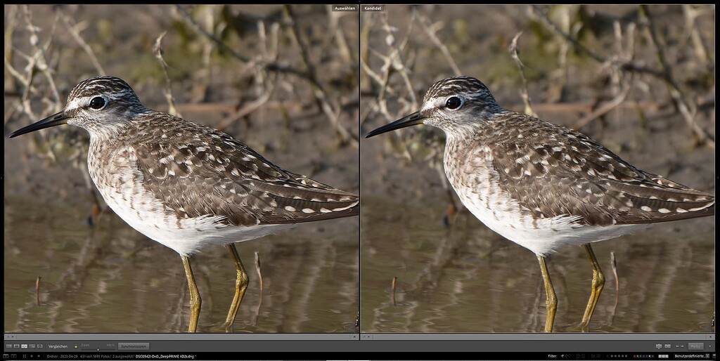 Pixel peeping challenge: Dxo PR vs Lightroom sharpening - DxO PureRAW - DxO Forum